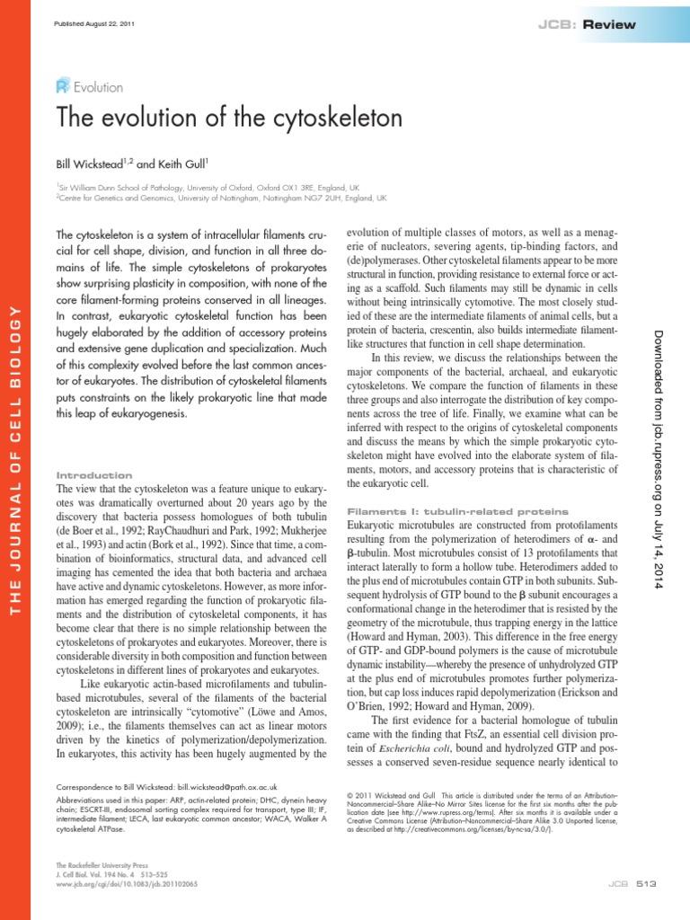 The Evolution of The Cytoskeleton | PDF