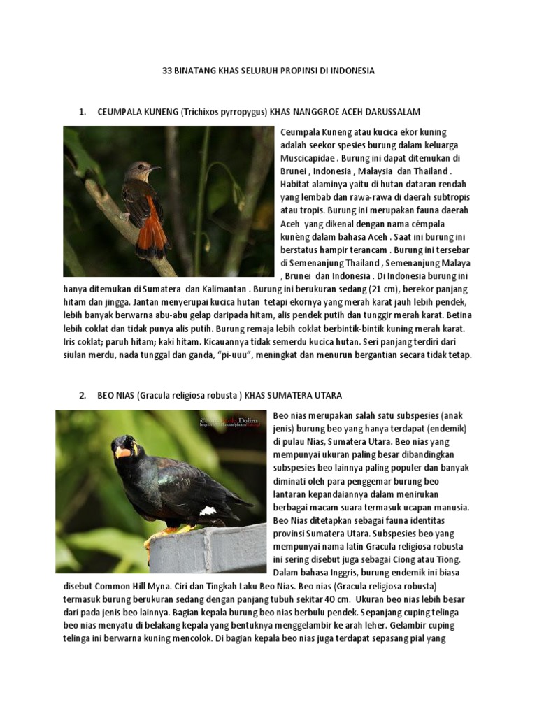 33 Binatang Khas Seluruh Propinsi Di Indonesia | PDF