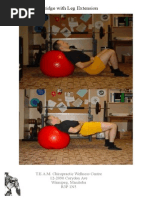 Alfredson Protocol - Achille's Tendonitis | PDF | Pain | Clinical Medicine