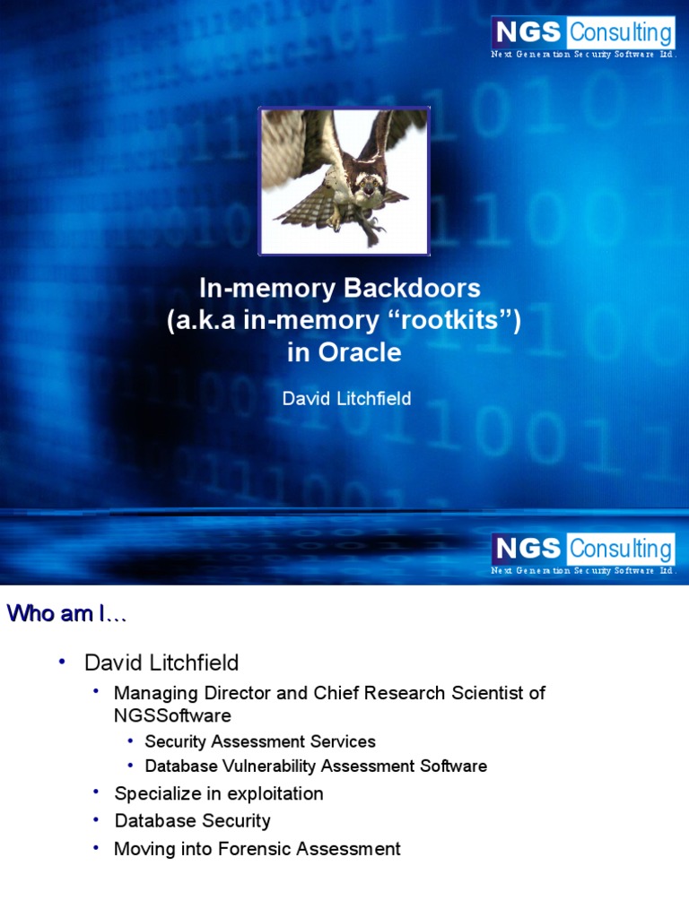 In-Memory Backdoors (A.k.a In-Memory "Rootkits") in Oracle: Consulting | PDF | Databases ...
