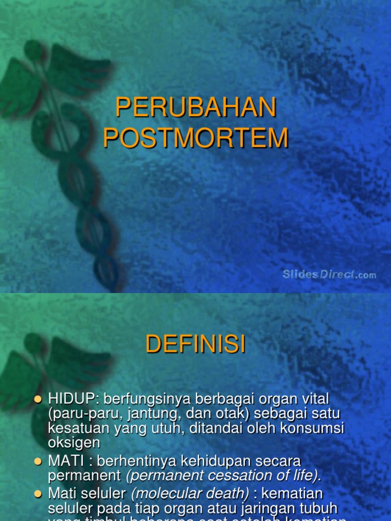 Perubahan Post Mortem | PDF