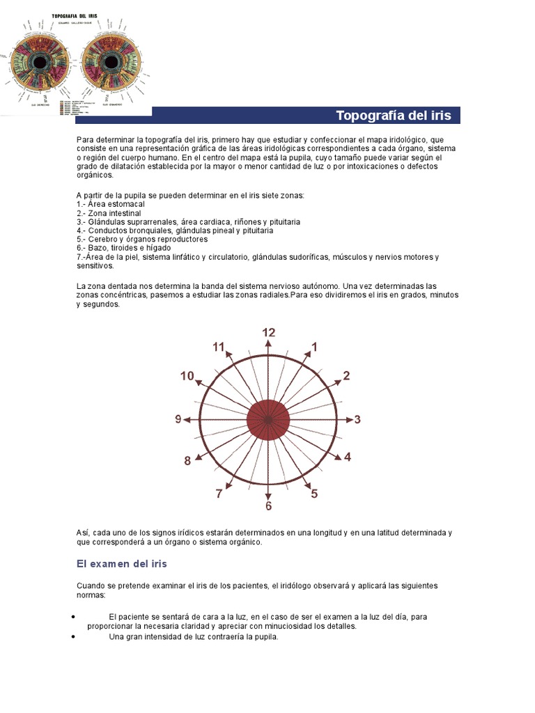 Topografía Del Iris | PDF | Color | Medicina CLINICA