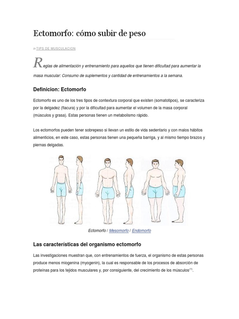 Ectomorfo | PDF | Músculo | Proteínas