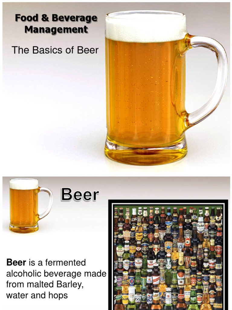 Basics of Beer | PDF | Beer | Brewing