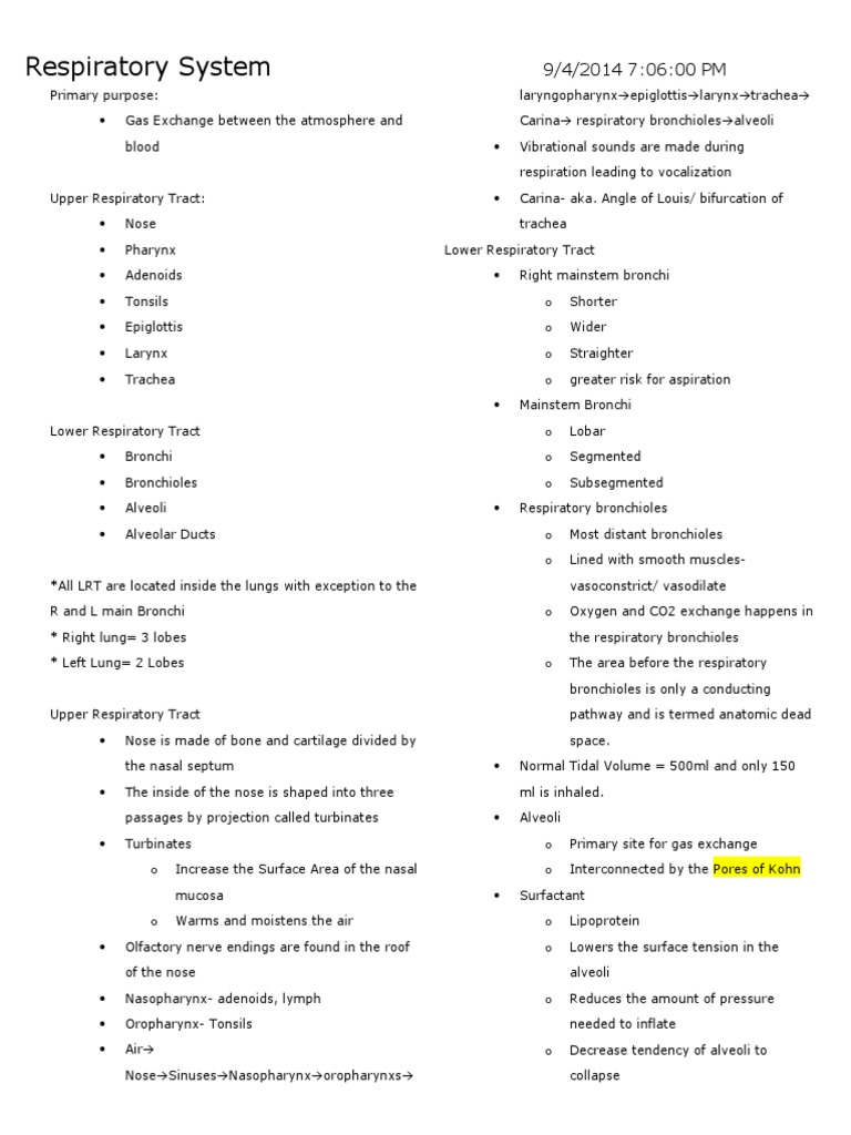 Respiratory System | PDF