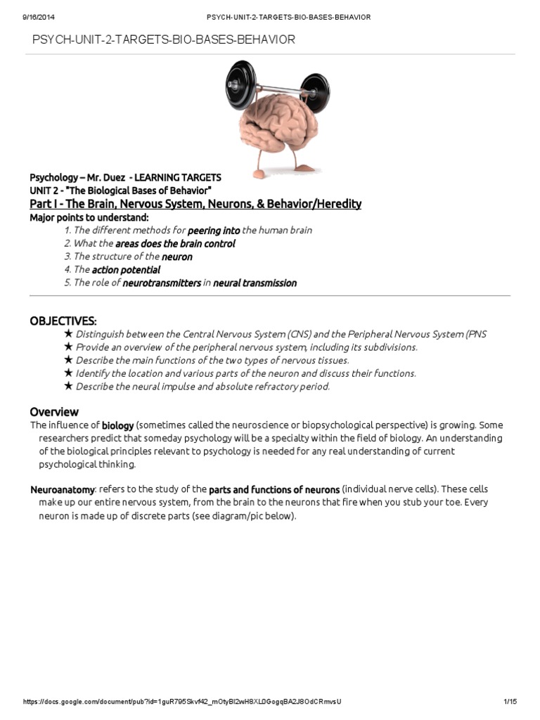 Biological Bases of Behavior in Psychology | PDF | Neuron ...
