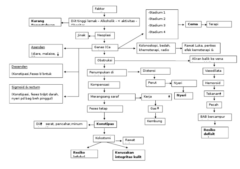 Pathway CA Colon | PDF