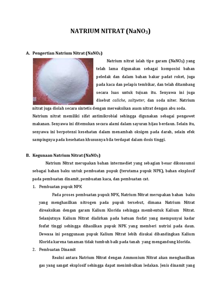 Makalah Natrium Nitrat | PDF | Griya & Taman | Sains & Matematika