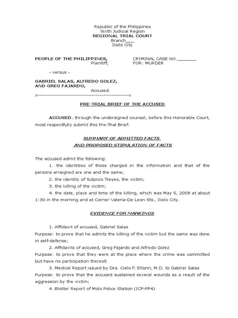 19381667-sample-of-pretrial-brief-for-the-defense.doc | Criminal ...