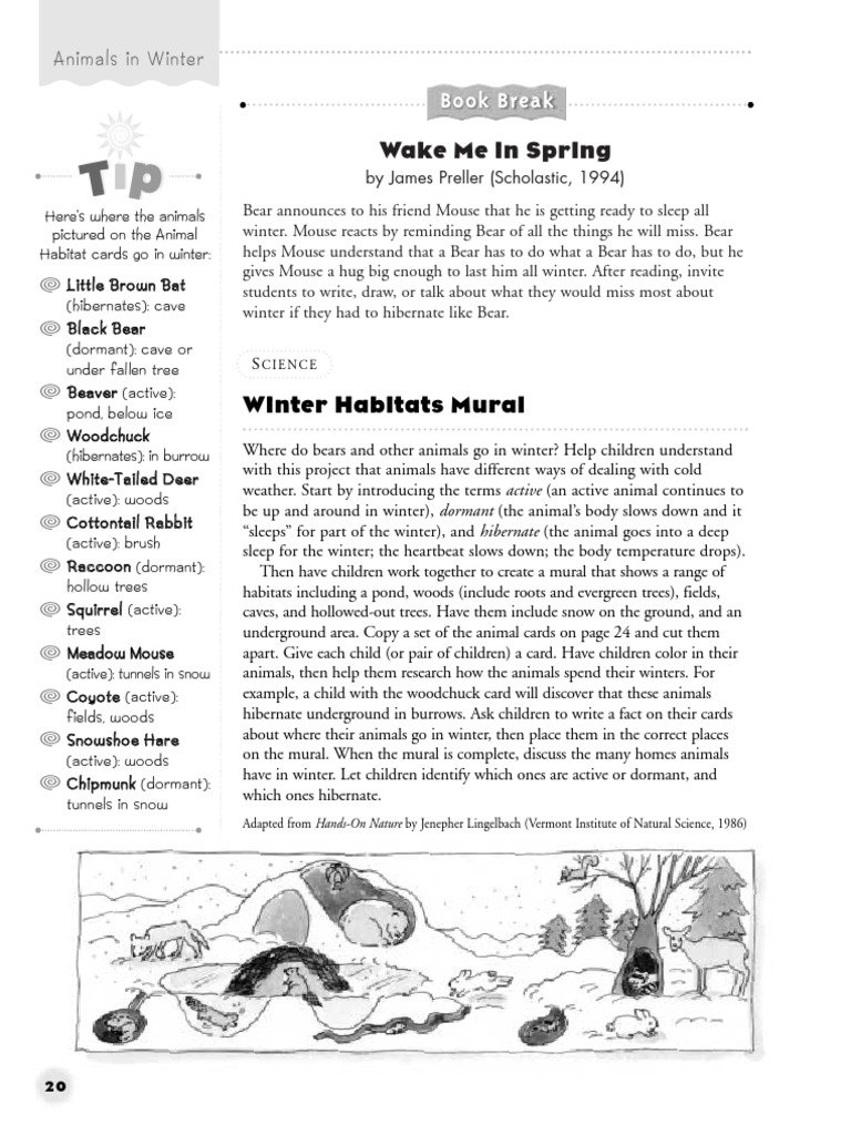 Winter Animal Habitats and Activities | PDF | Bears | Habitat