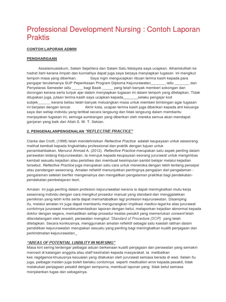 Professional Development Nursing | PDF