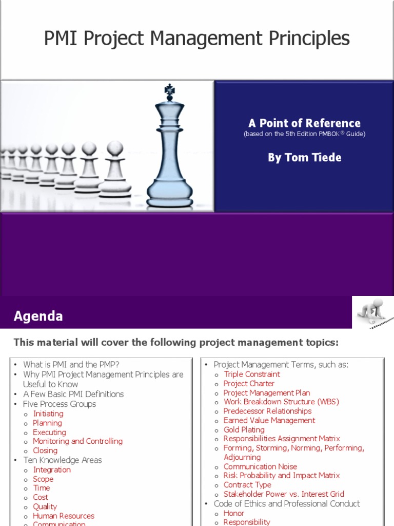 PMI Project Management Principles | PDF | Project Management | Risk ...