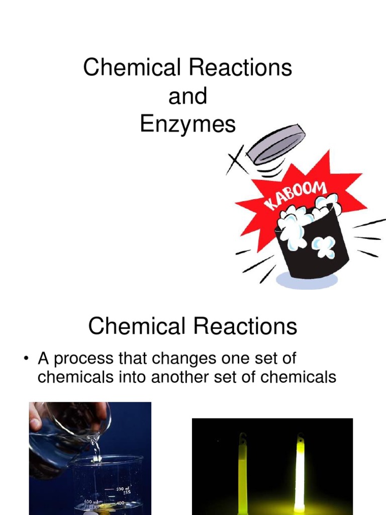 Chemical Reactions & Enzymes Guide | PDF | Chemical Reactions | Enzyme