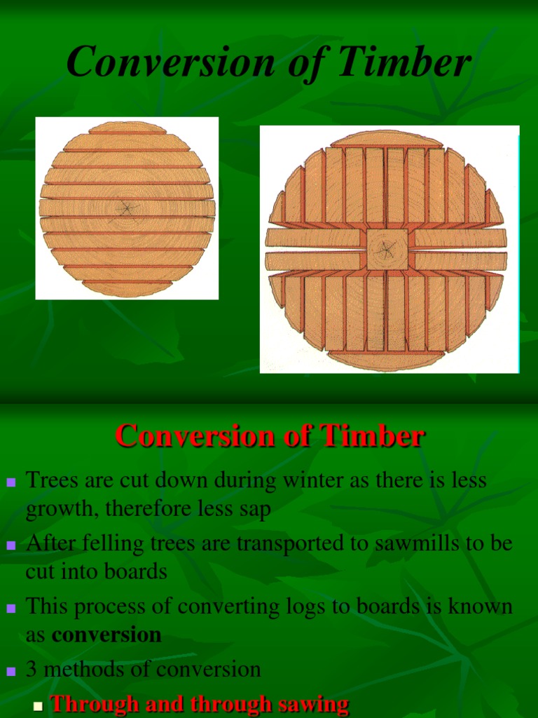 6 Conversion of Timber | PDF
