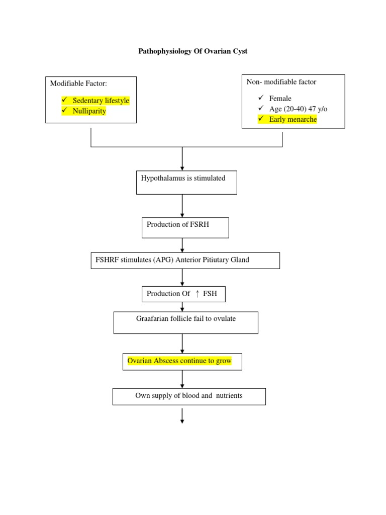 Pathophysiology of Ovarian Cyst