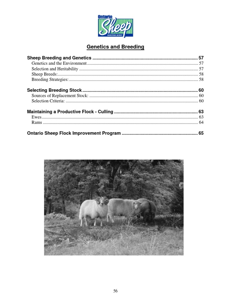 Chapter 5 Genetics and Breeding PDF | PDF | Sheep | Selective Breeding