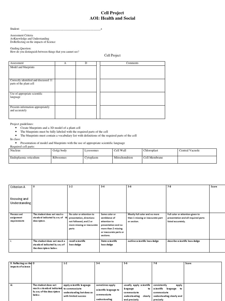 Updated Blank Cell Model Rubric | PDF