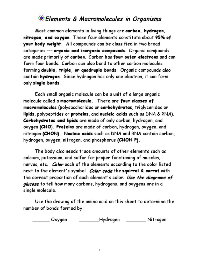 Macromolecules Packet | PDF | Carbohydrates | Lipid