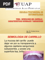 Istmo de Las Fauces | PDF | Medicina CLINICA | Enfermedades y trastornos