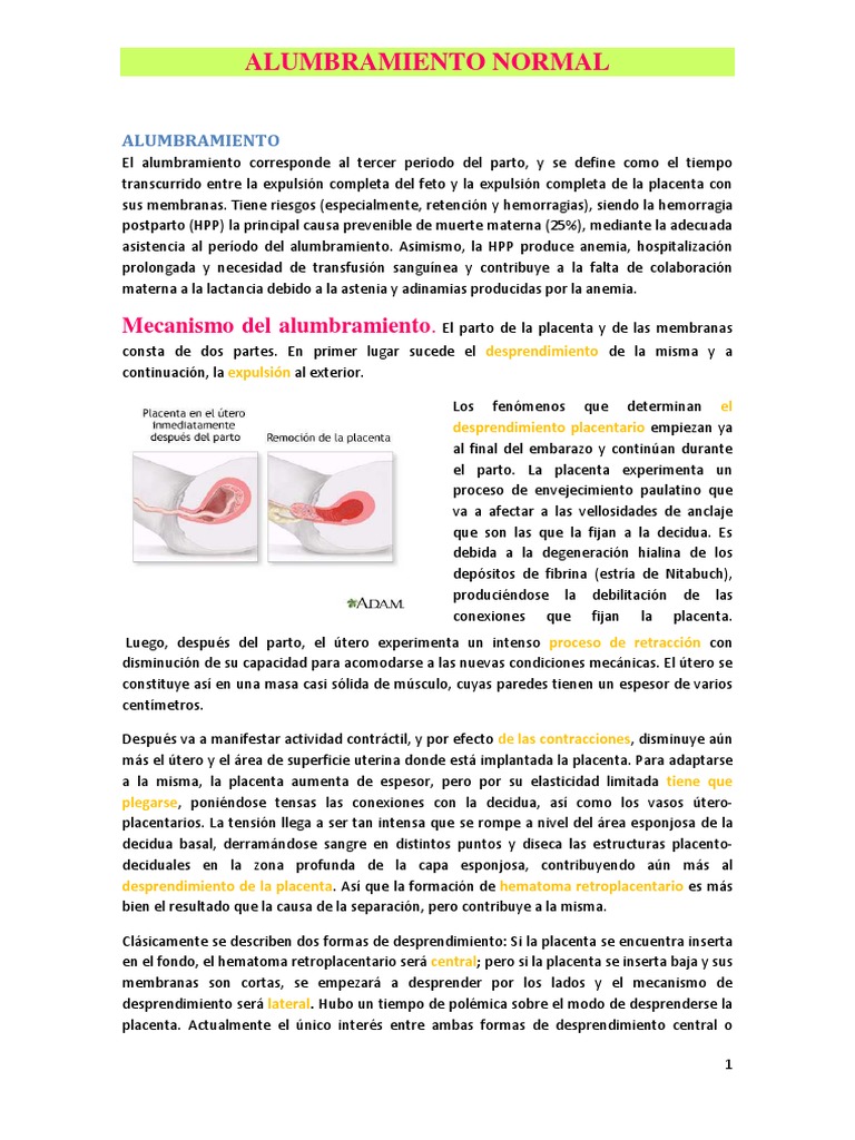 Alumbramiento Normal | PDF | Placenta | Parto