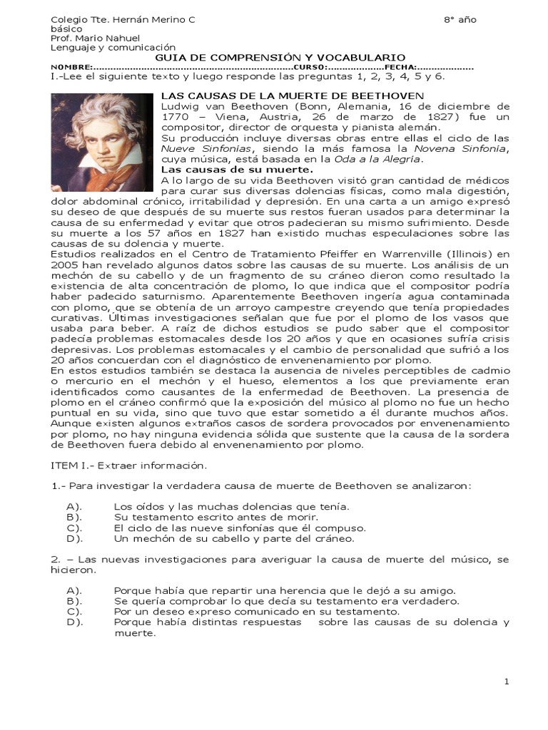 COMPRENSION LECTORA Evaluada 8°BASICO | PDF | Ludwig Van Beethoven ...