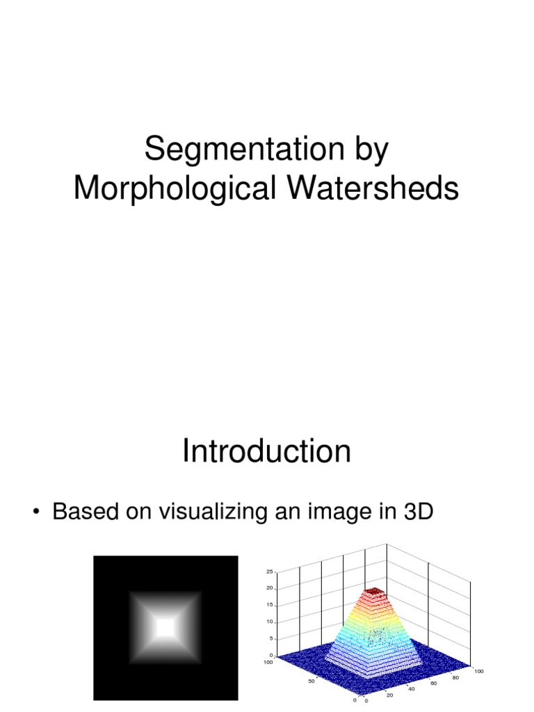 Watershed Segmentation Techniques | PDF | Image Segmentation | Computer Graphics