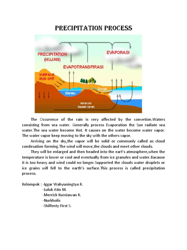 Precipitation Process | PDF