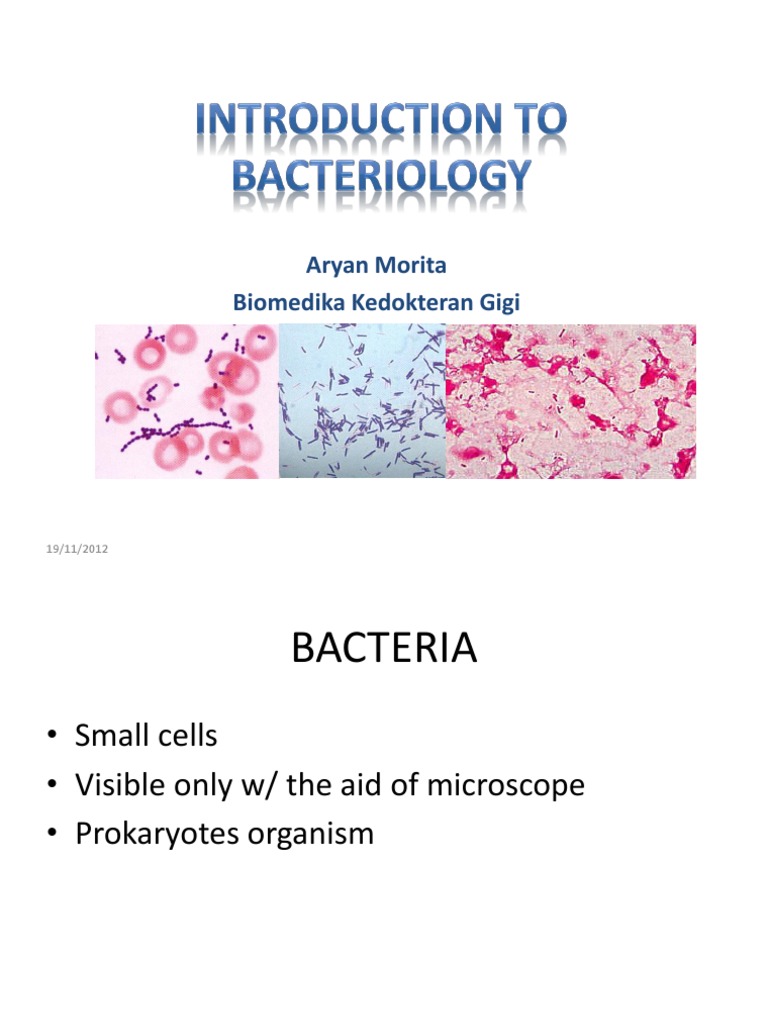 Introduction To Bacteriology | PDF