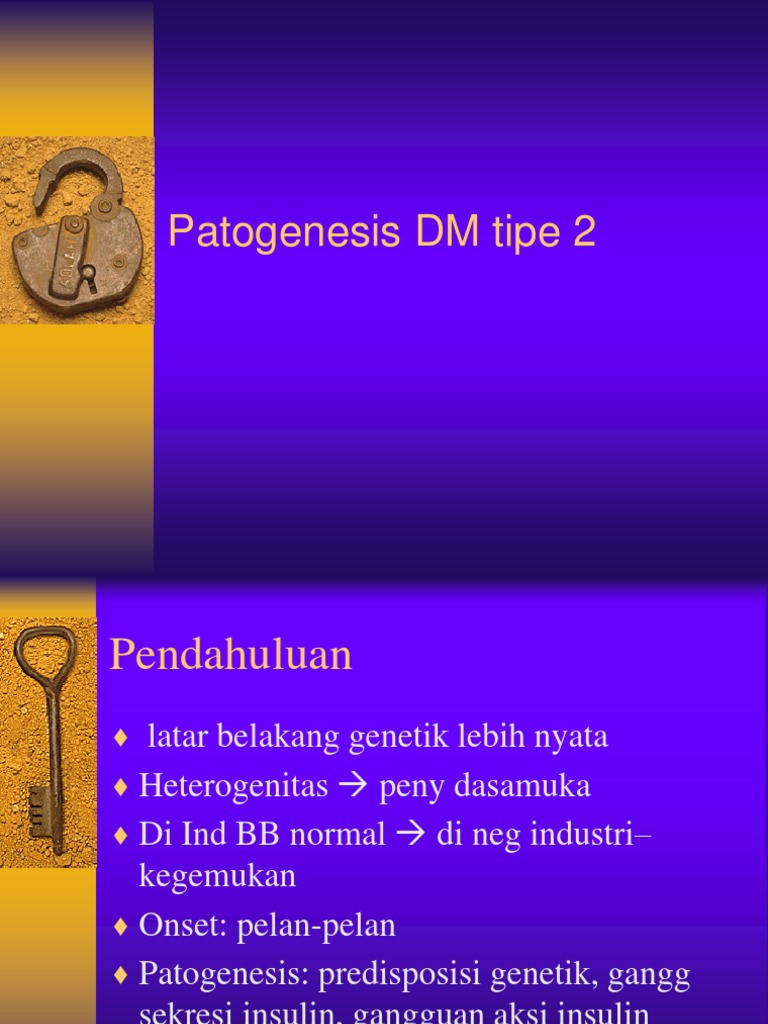 Patogenesis DM Tipe 2 | PDF
