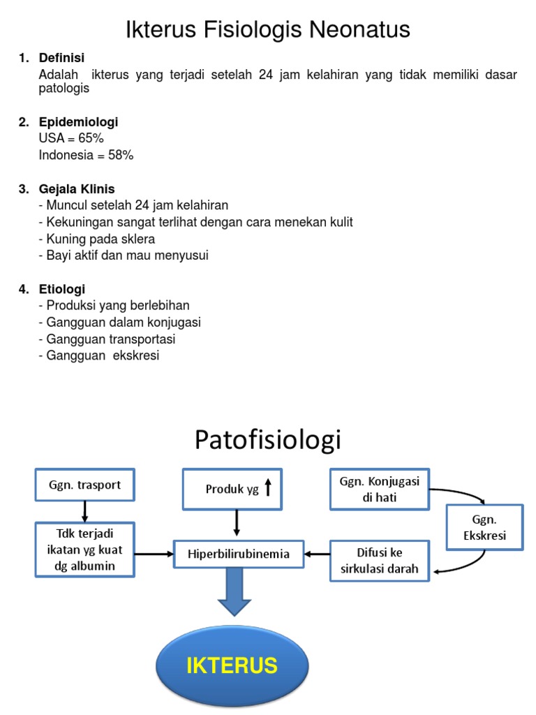Ikterus Fisiologis Neonatus | PDF