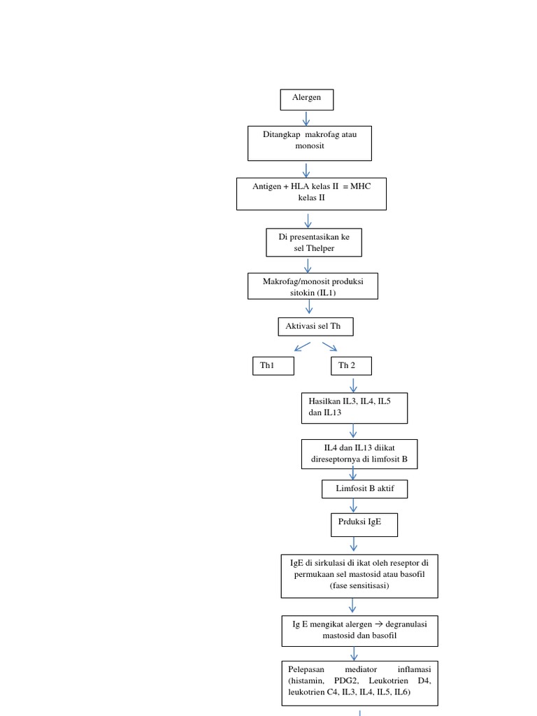 Bagan Patogeneis Dan Patofisiologi RHINITIS ALERGI | PDF