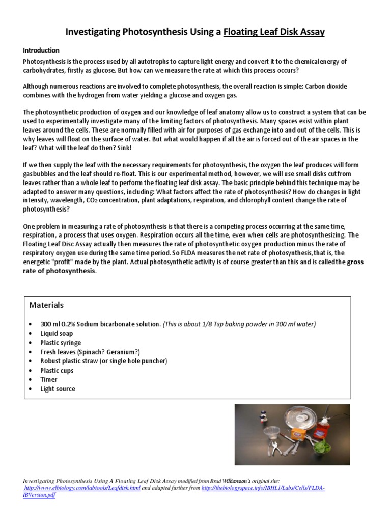 Floating Leaf Disk Assay for Year 11 | Photosynthesis | Chemistry