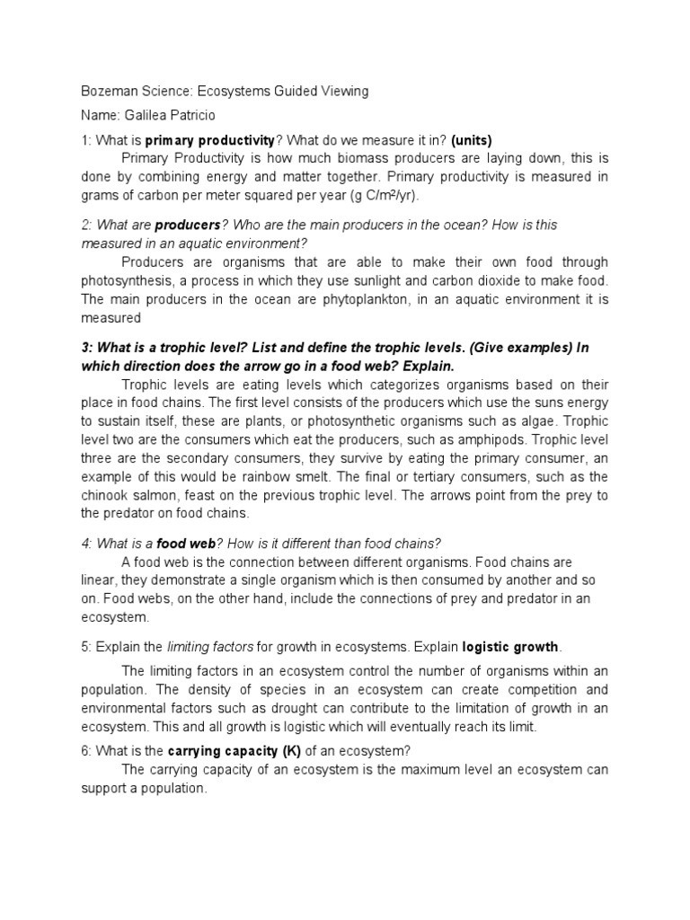 Bozeman - Ecosystems Guided Viewing | PDF | Food Web | Primary Production