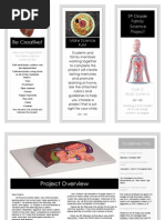 Human Body Unit Study Guide | PDF | Circulatory System | Human Body