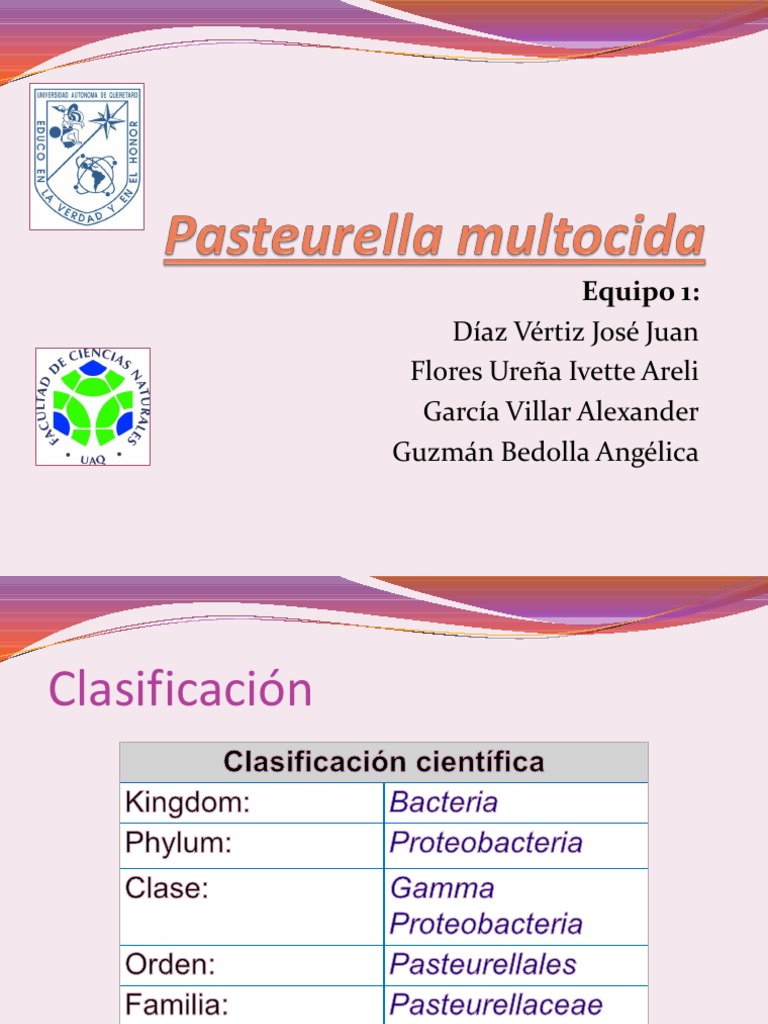 Pasteurella Multocida | PDF | Sistema inmune | Biología Celular)