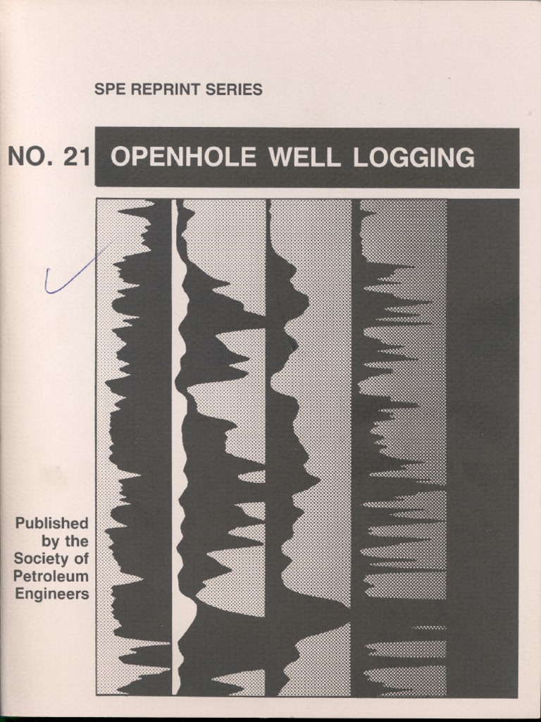 Openhole Well Logging | PDF