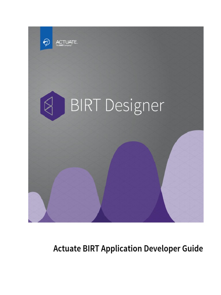 BIRT Ihub v3 Developer Guide | PDF | Software Engineering | Computing