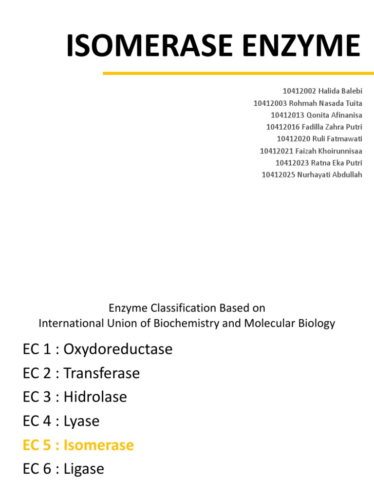 Enzim Isomerase 6 | PDF | Nutrients | Macromolecules