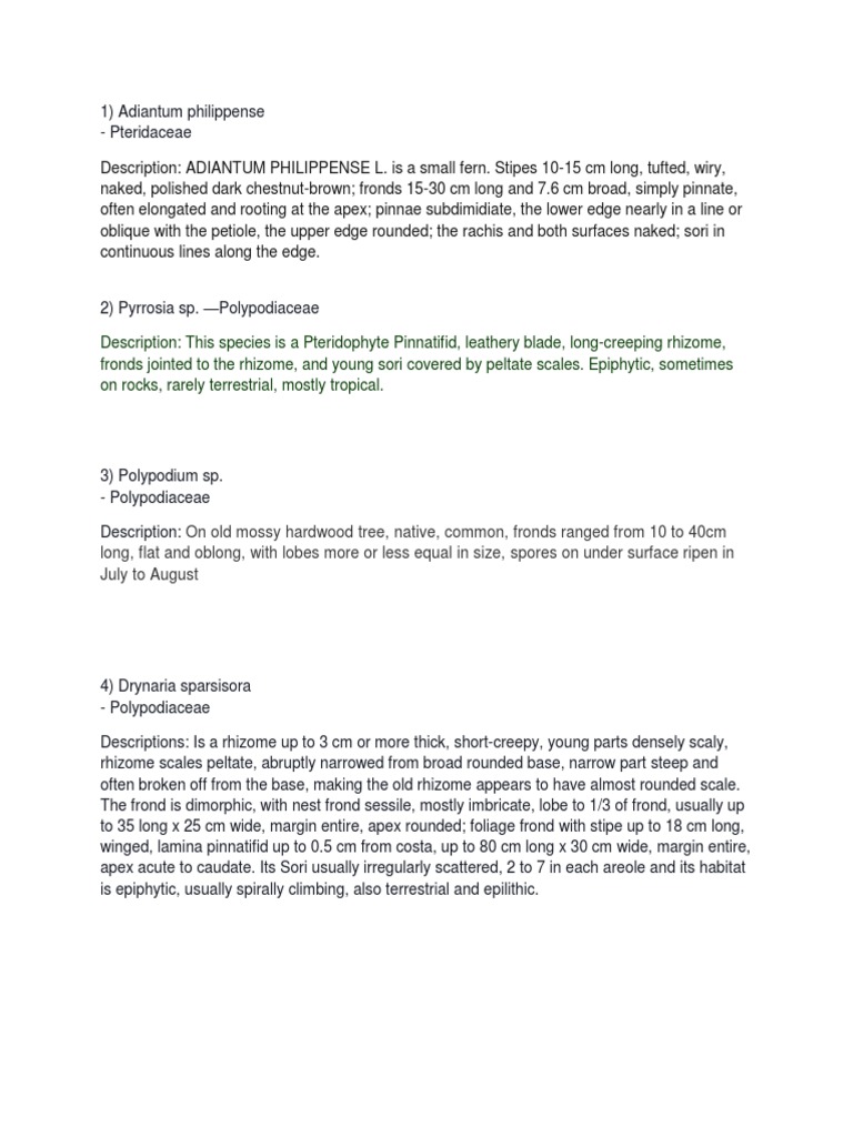 Botany Lecture 1-7 | PDF | Fern | Flora