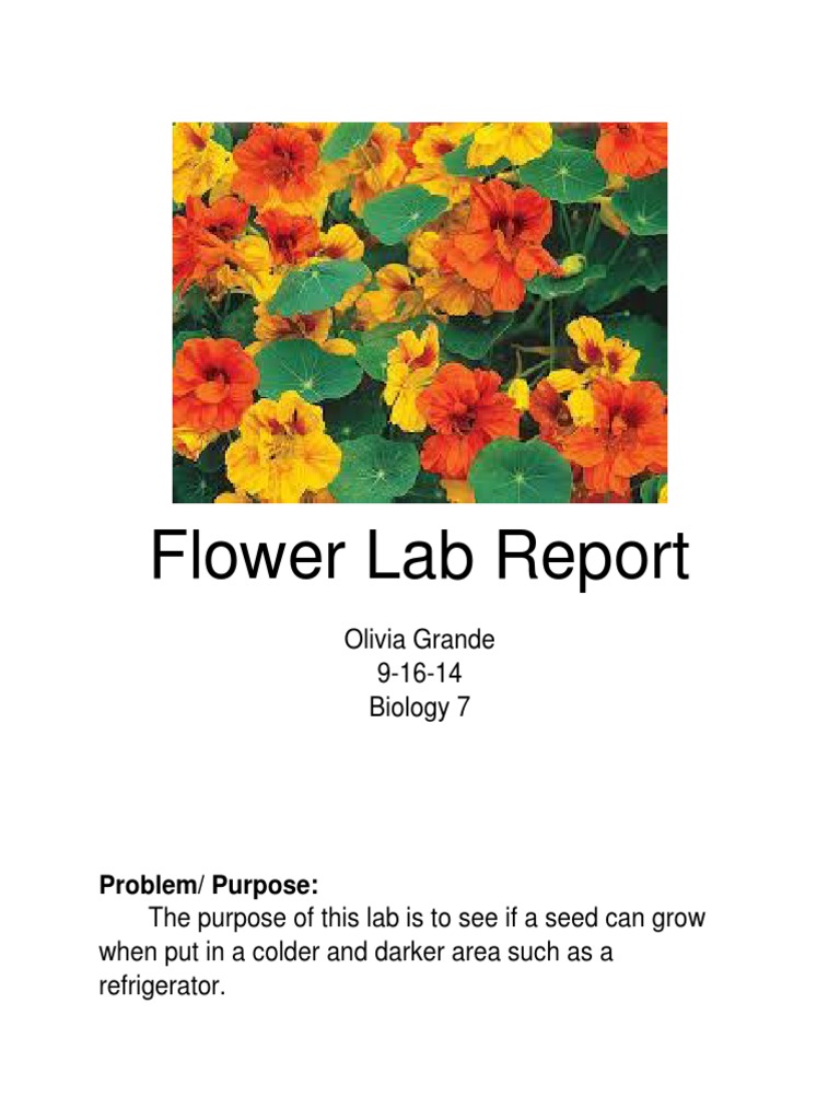 Flower Lab Report: Olivia Grande 9-16-14 Biology 7 | PDF