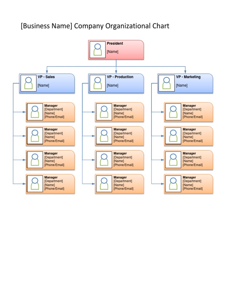 Comprehensive Org Chart Guide | PDF