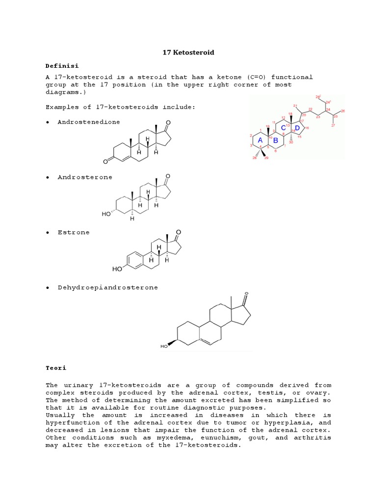 17 Ketosteroid | PDF | Adrenal Gland | Steroid