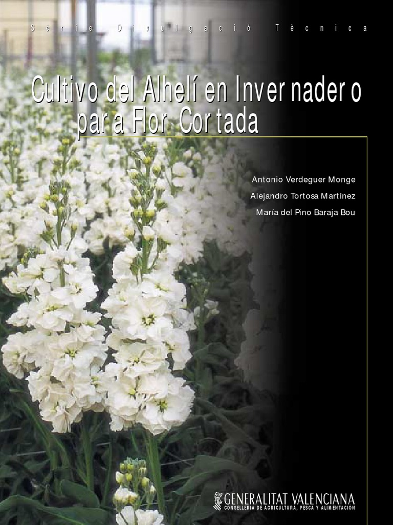 Cultivo del Alhelí en Invernadero | PDF | Naturaleza