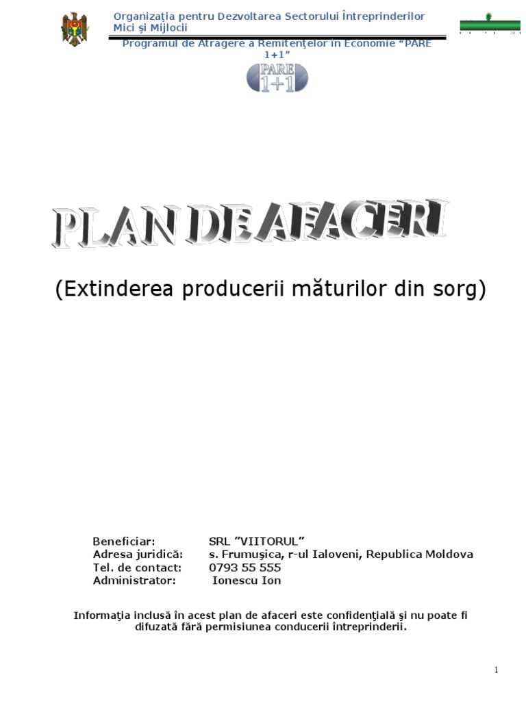 Model Plan de Afaceri Completat