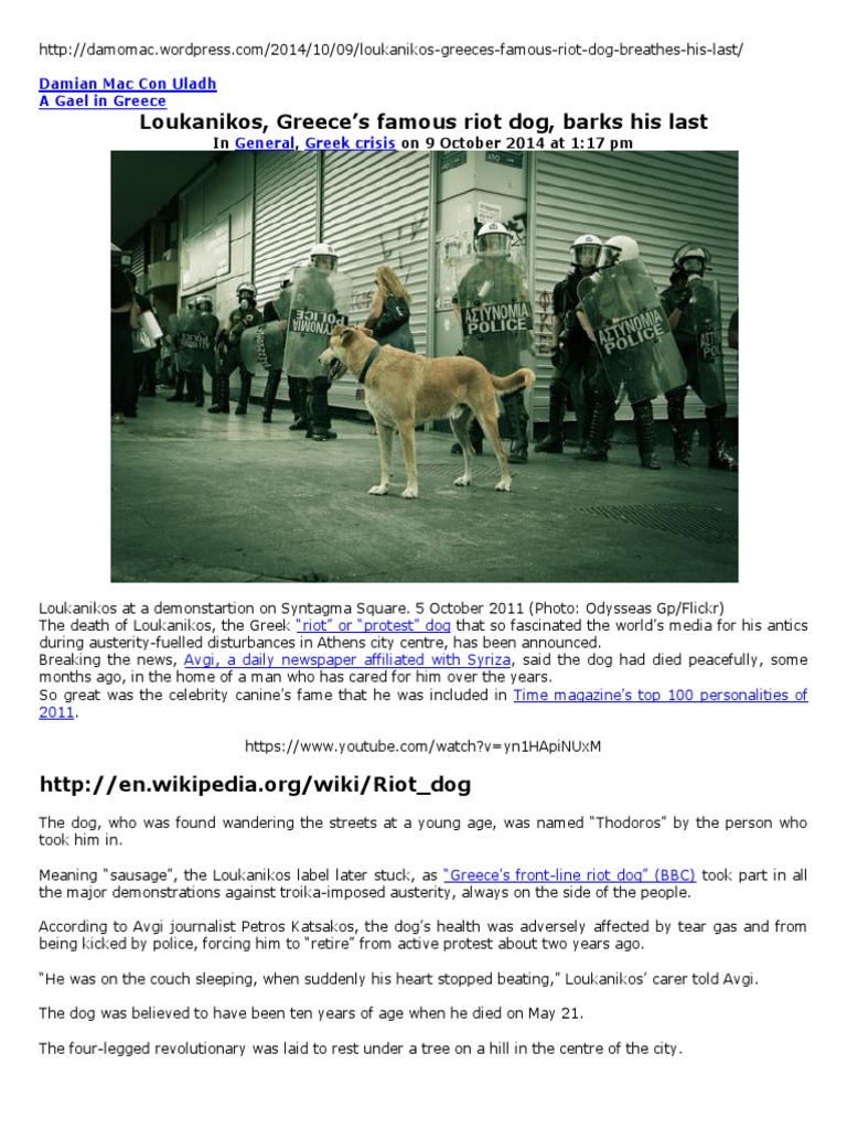 Loukanikos: Greece's Riot Dog Dies | PDF | Domesticated Animals ...