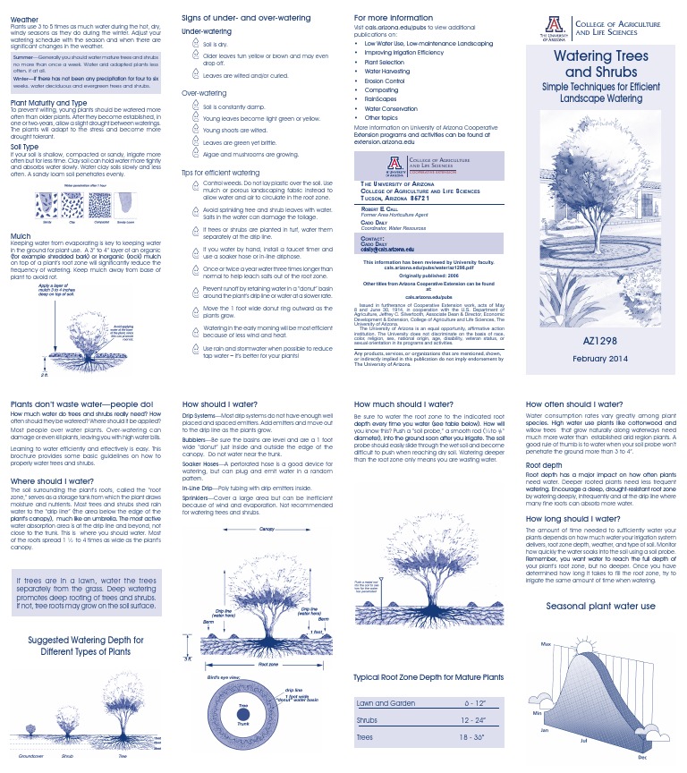 Watering Trees and Shrubs: Simple Techniques For Efficient Landscape ...