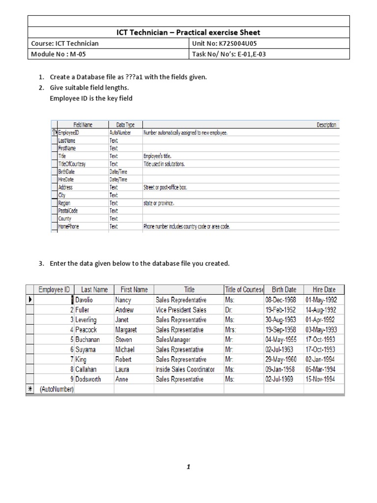 Exercise Sheets (M 05) | PDF | Microsoft Access | Databases