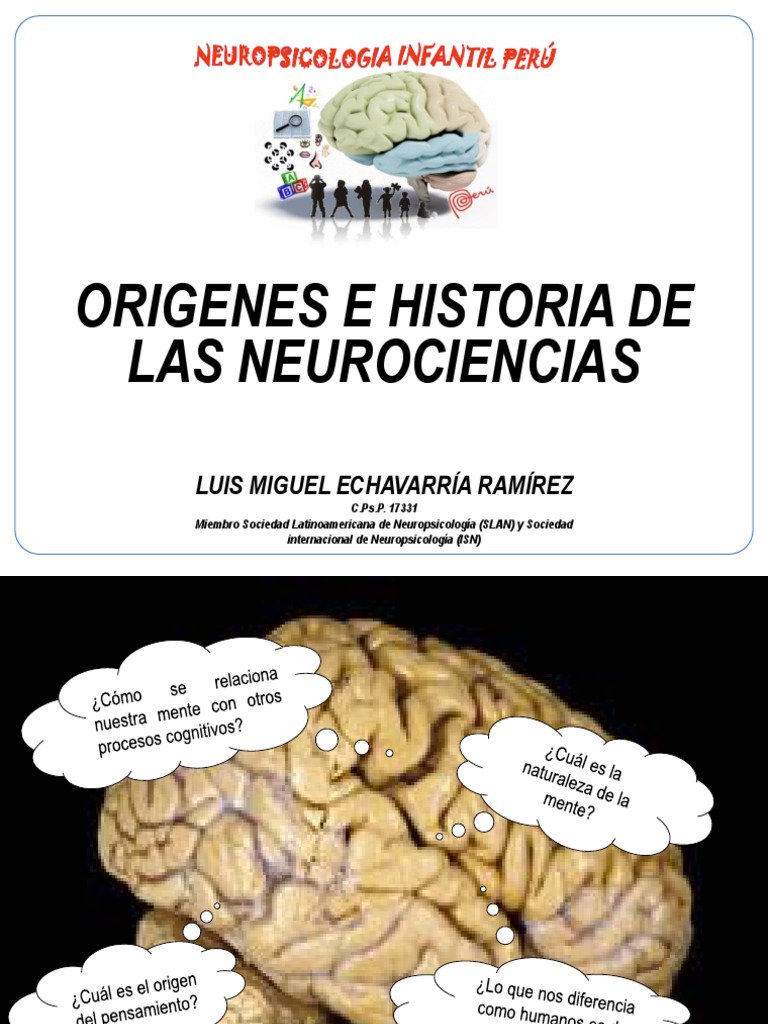 Historia Neurociencias PDF | PDF | Cerebro | Neurociencia