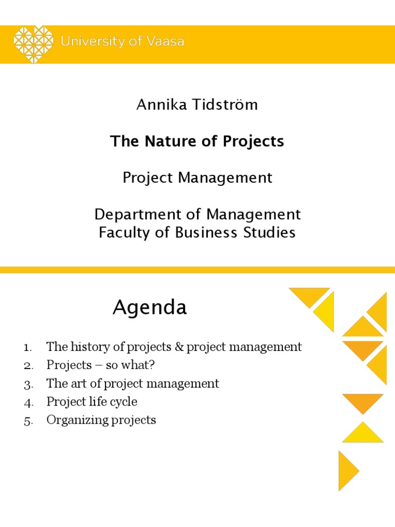 Module 1 - The Nature of Projects | PDF | Project Management | Business