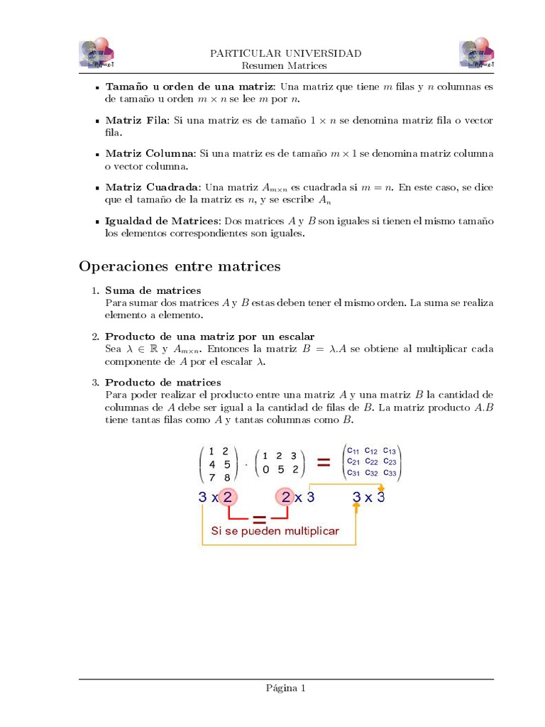 Propiedades de Matrices PDF | PDF | Matriz (Matemáticas) | Álgebra lineal